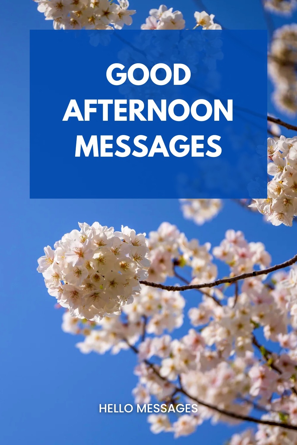25 Good Afternoon Messages To Warmly Greet Your Friends